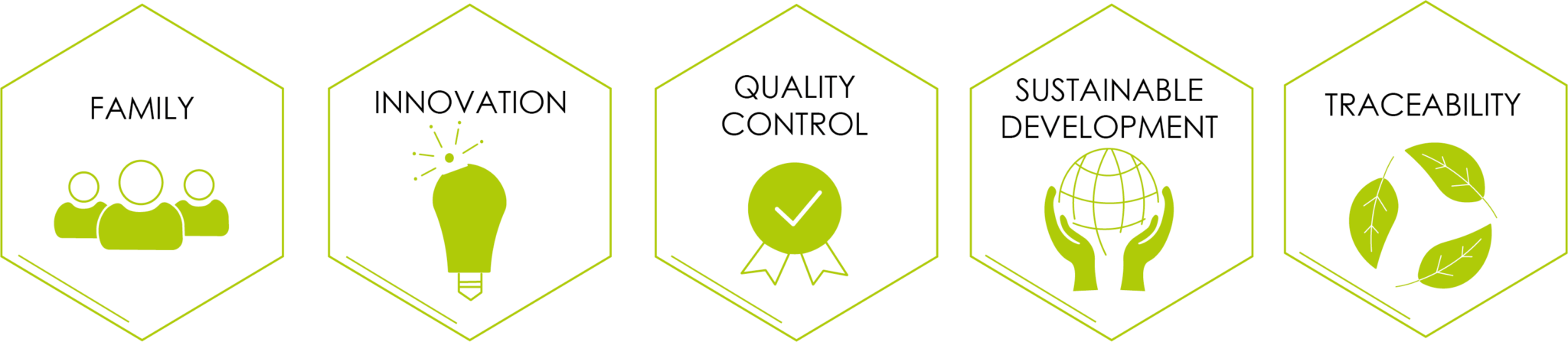 Our company – Actichem